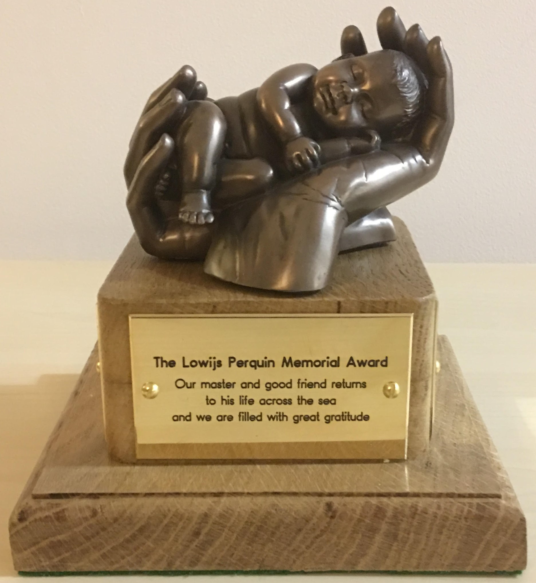The Award close up - Pesso Boyden Training UK