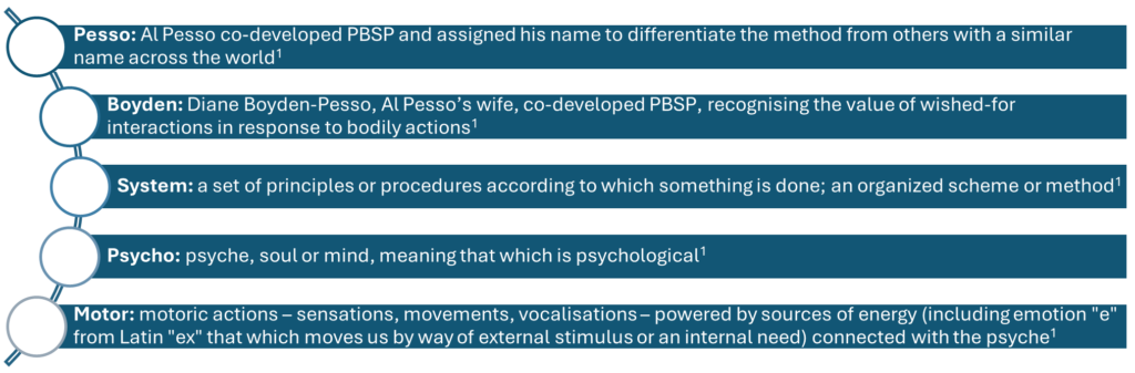The Name - Pesso Boyden Training UK