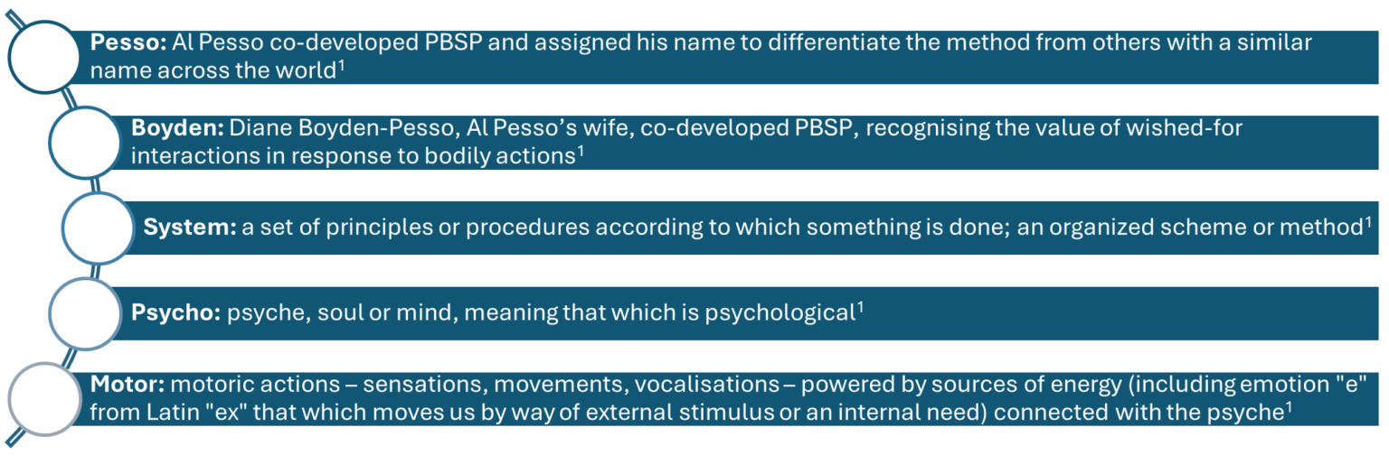 The Name - Pesso Boyden Training UK
